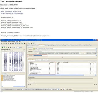 Diagnostic software DTS Monaco How To 2019.pdf