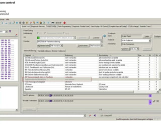 Diagnostic software DTS Monaco How To 2019.pdf