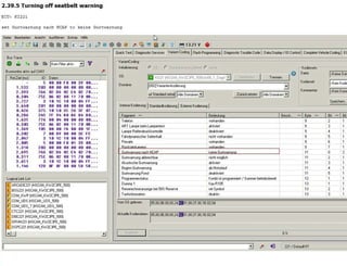 Diagnostic software DTS Monaco How To 2019.pdf
