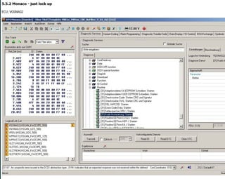 Diagnostic software DTS Monaco How To 2019.pdf