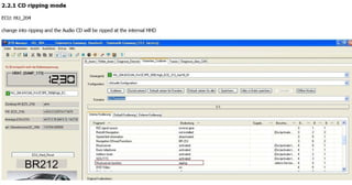 Diagnostic software DTS Monaco How To 2019.pdf