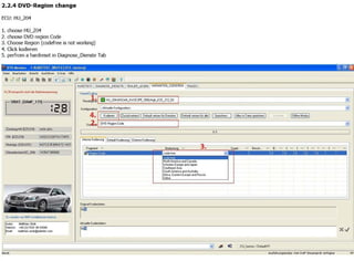 Diagnostic software DTS Monaco How To 2019.pdf