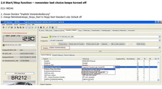 Diagnostic software DTS Monaco How To 2019.pdf