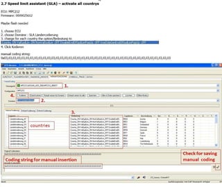 Diagnostic software DTS Monaco How To 2019.pdf
