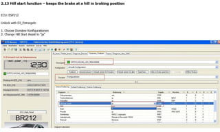 Diagnostic software DTS Monaco How To 2019.pdf