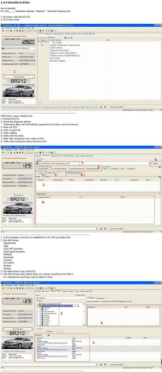 Diagnostic software DTS Monaco How To 2019.pdf