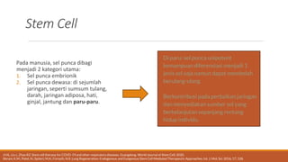 DT Stem Cell_Danang Andi.pptx persiapan DT | PPT