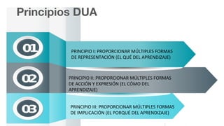 Diseño Universal de Aprendizaje.pdf