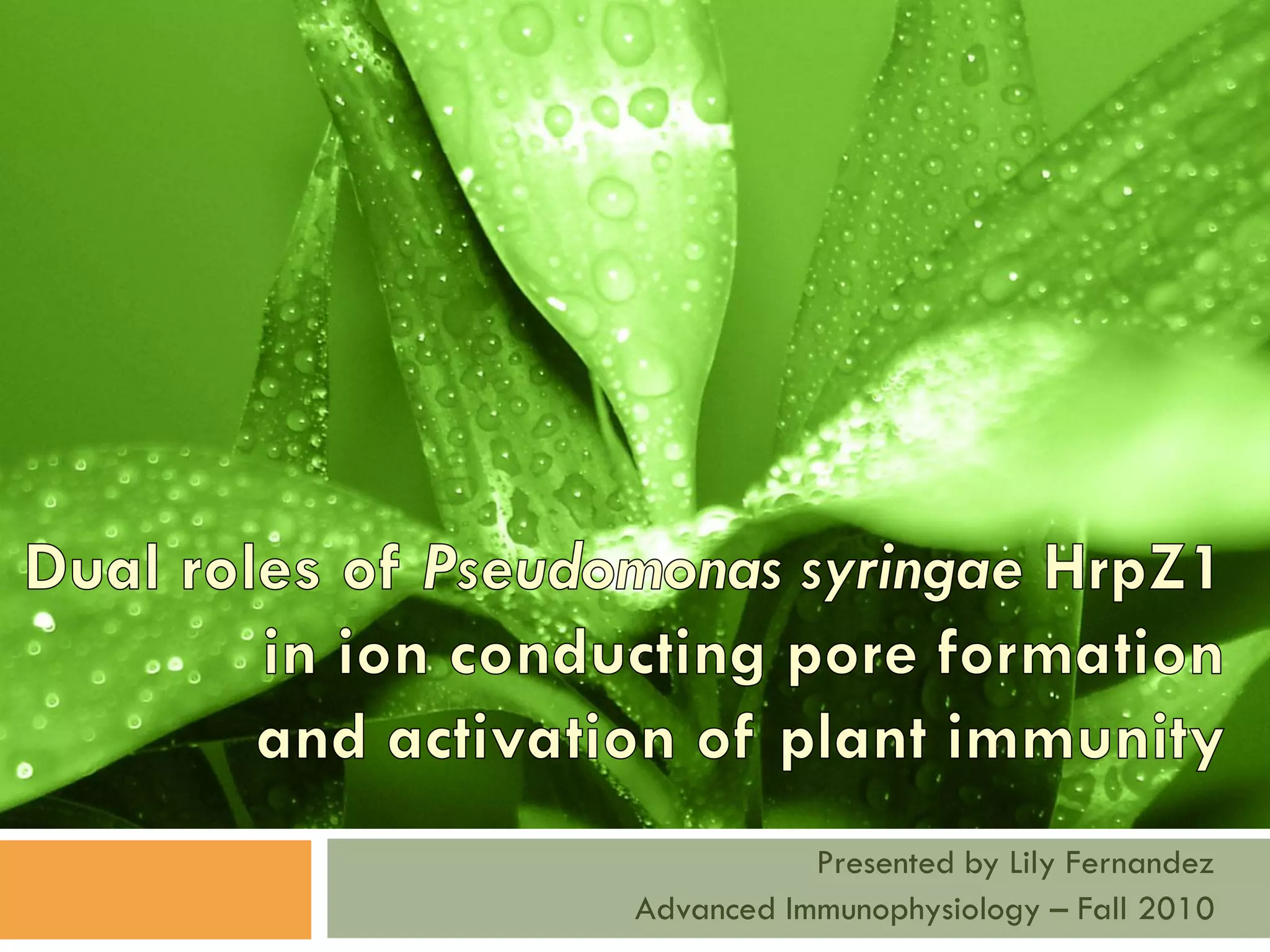 Dual roles of pseudomonas syringae hrp z1 | PDF
