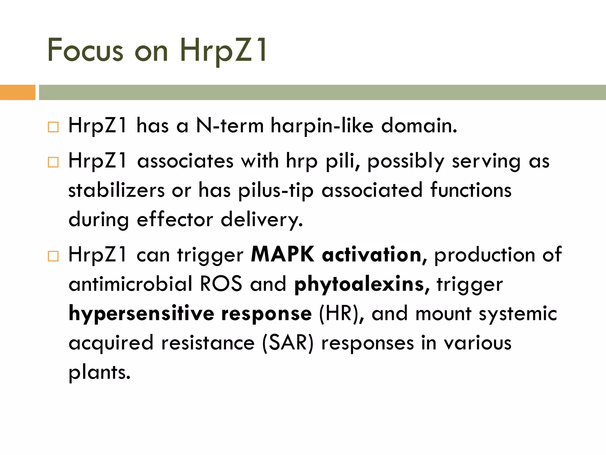 Dual roles of pseudomonas syringae hrp z1 | PDF