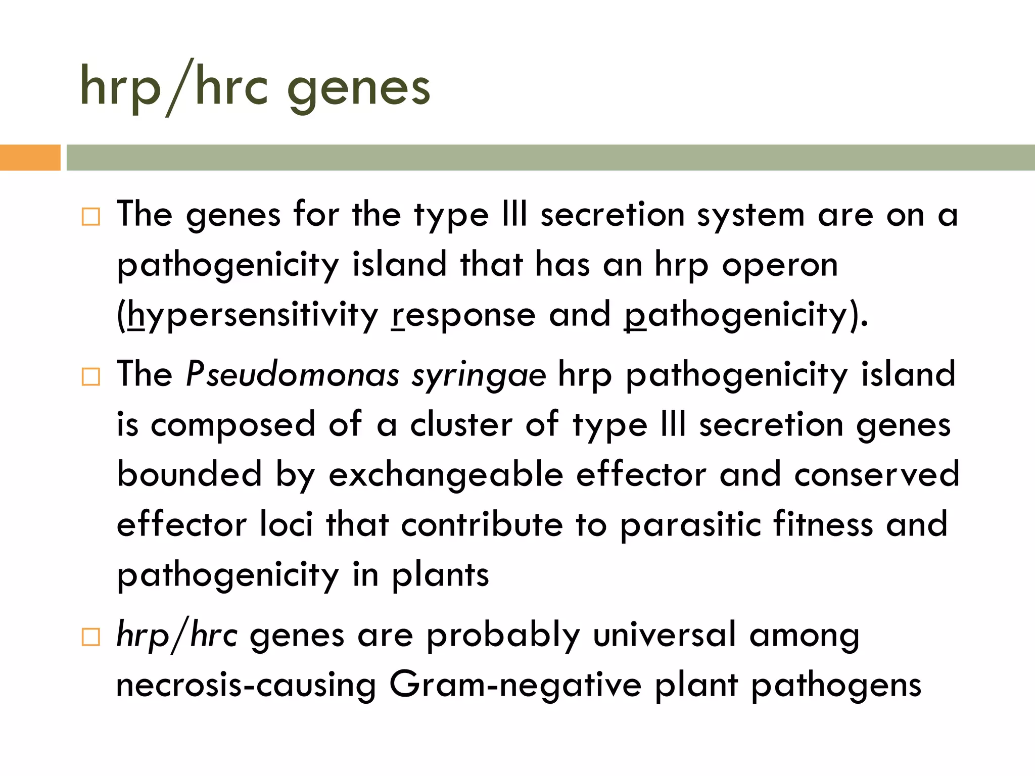Dual roles of pseudomonas syringae hrp z1 | PDF