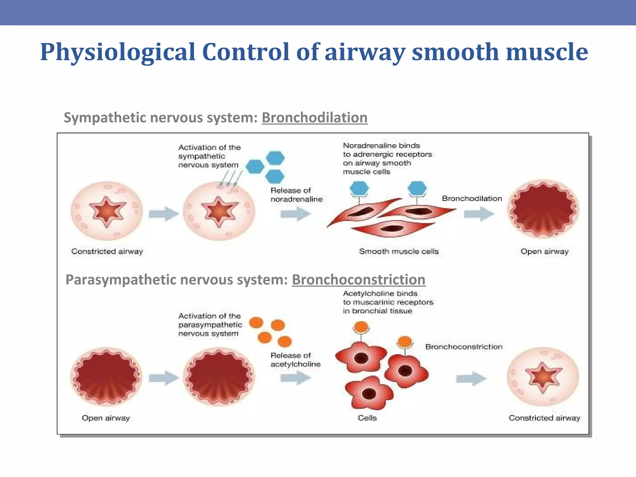 Dual bronchodilatation in copd dr vijay | PPT