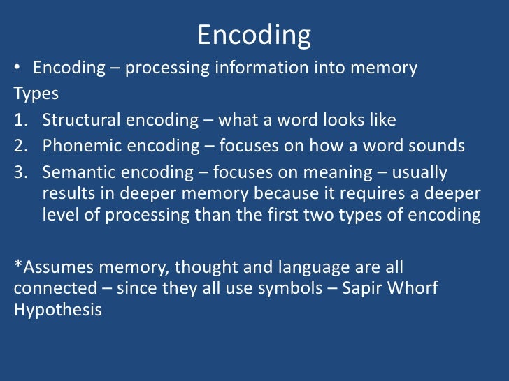 Dual credit psychology notes chapter 10 - memory(shortened for slid…