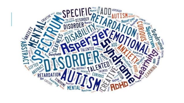 Dual exceptionalities | PPTX | Special Education | Education