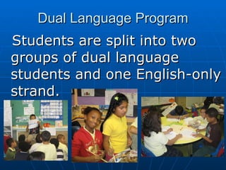Dual Language Program | PPT