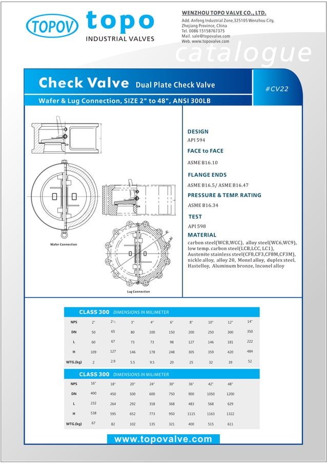 Dual plate check valve topo valve | PDF