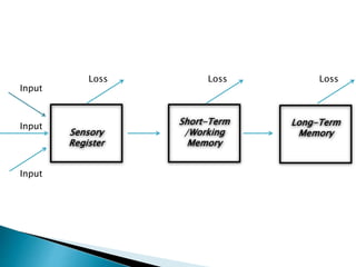 Dual storage model of memory | PPSX