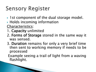 Dual storage model of memory | PPSX