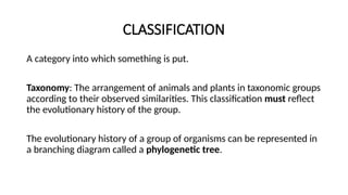 Duane Classification and evolution..pptx