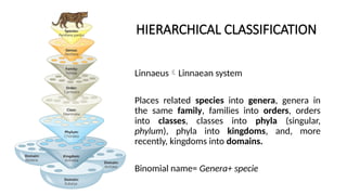Duane Classification and evolution..pptx