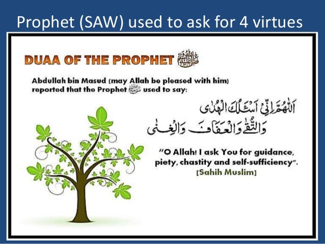 Dua Of The Prophet Muhammad : Prayers of the Last Prophet – YKZJI