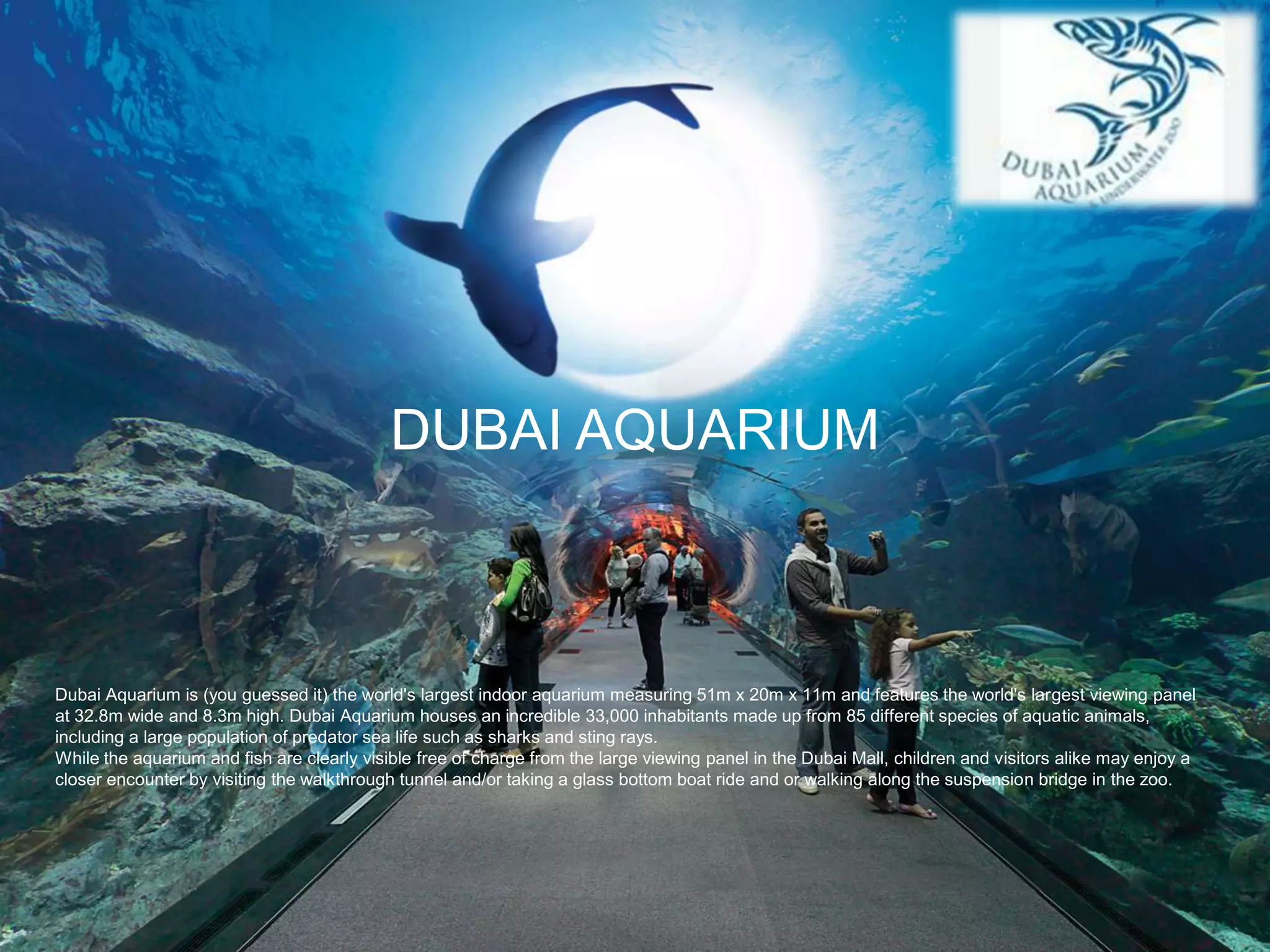 Dubai power point presentation | PPTX