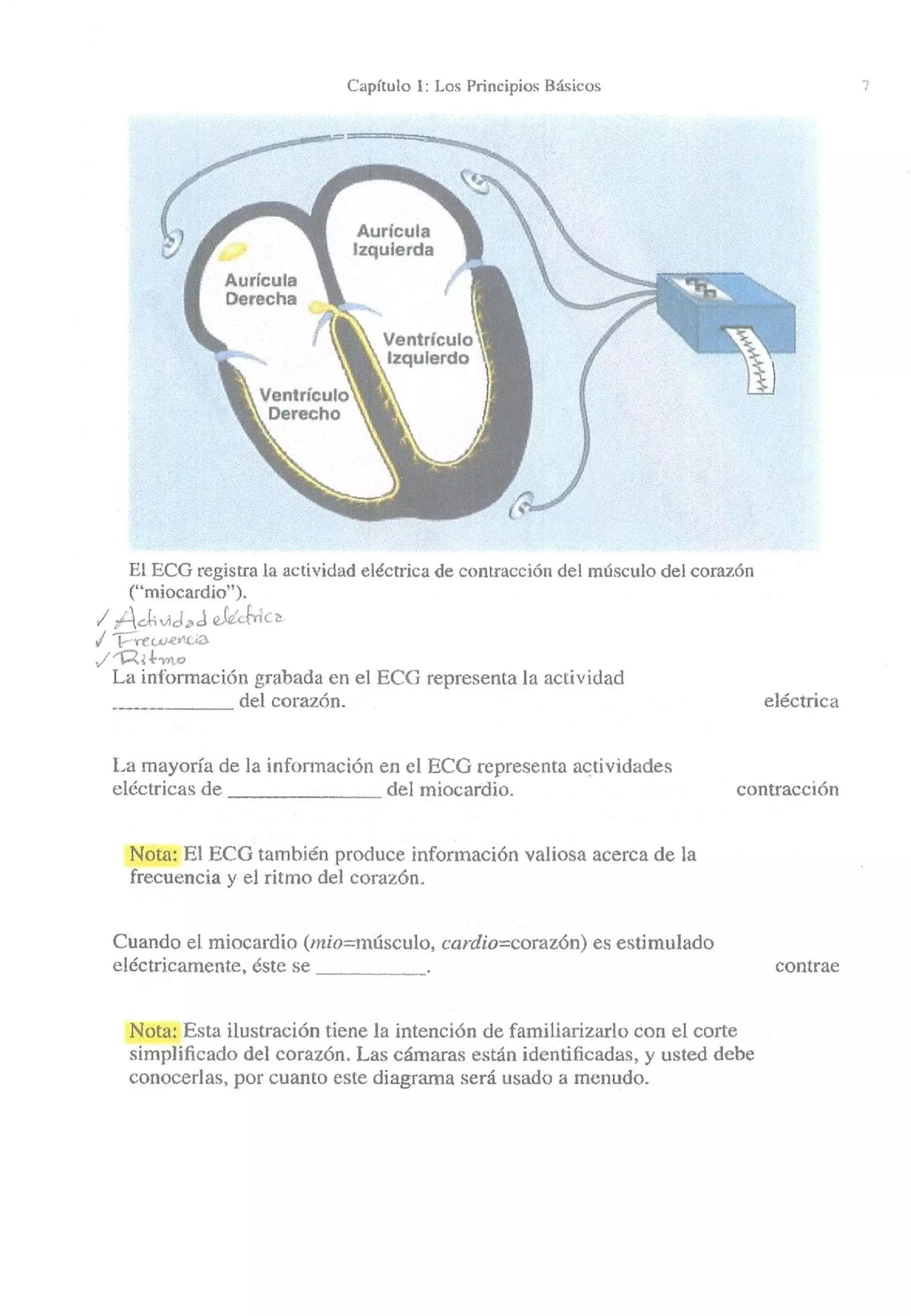 Dubin interpretacion de ECG (1°Edicion Color) | PDF