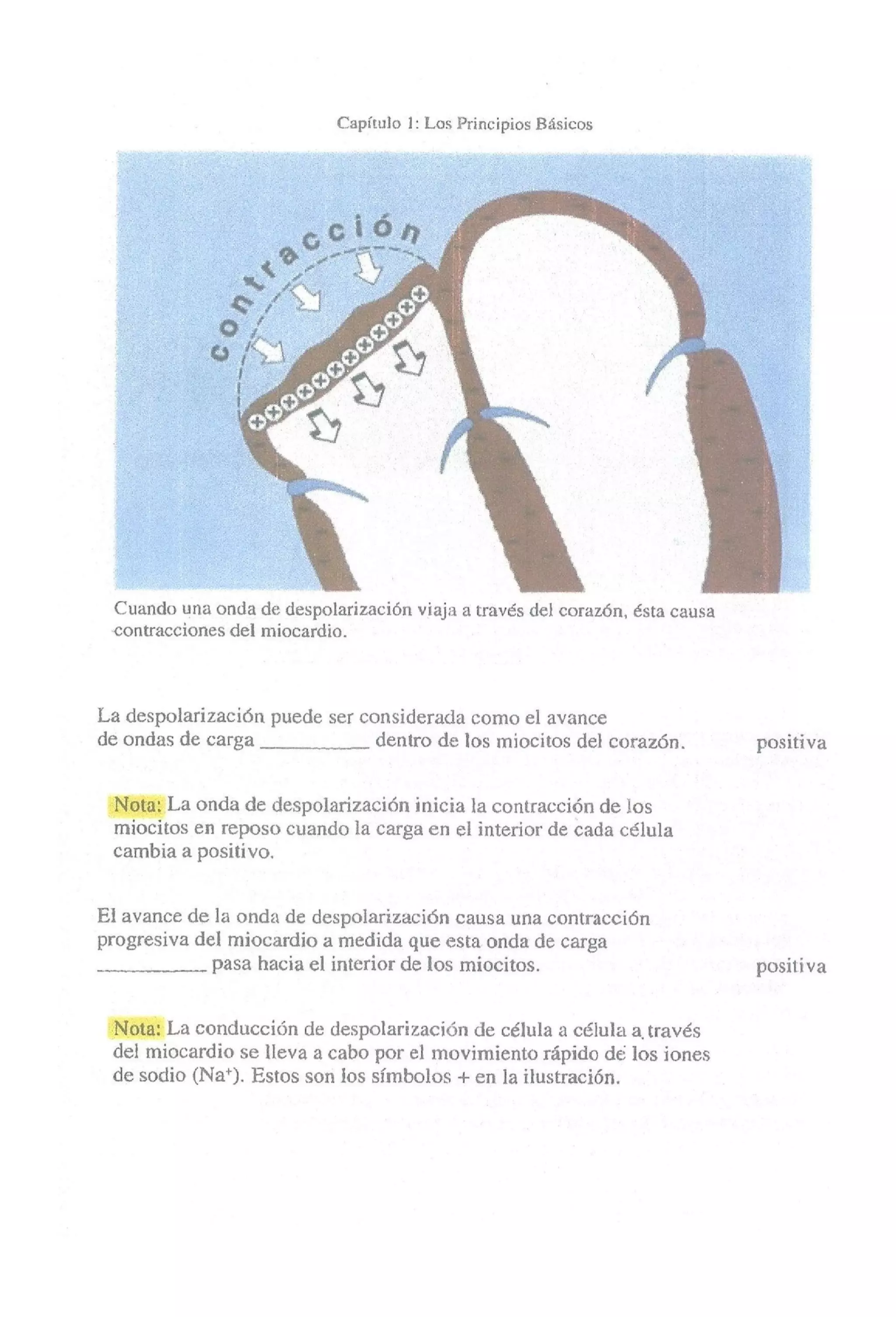 Dubin interpretacion de ECG (1°Edicion Color) | PDF