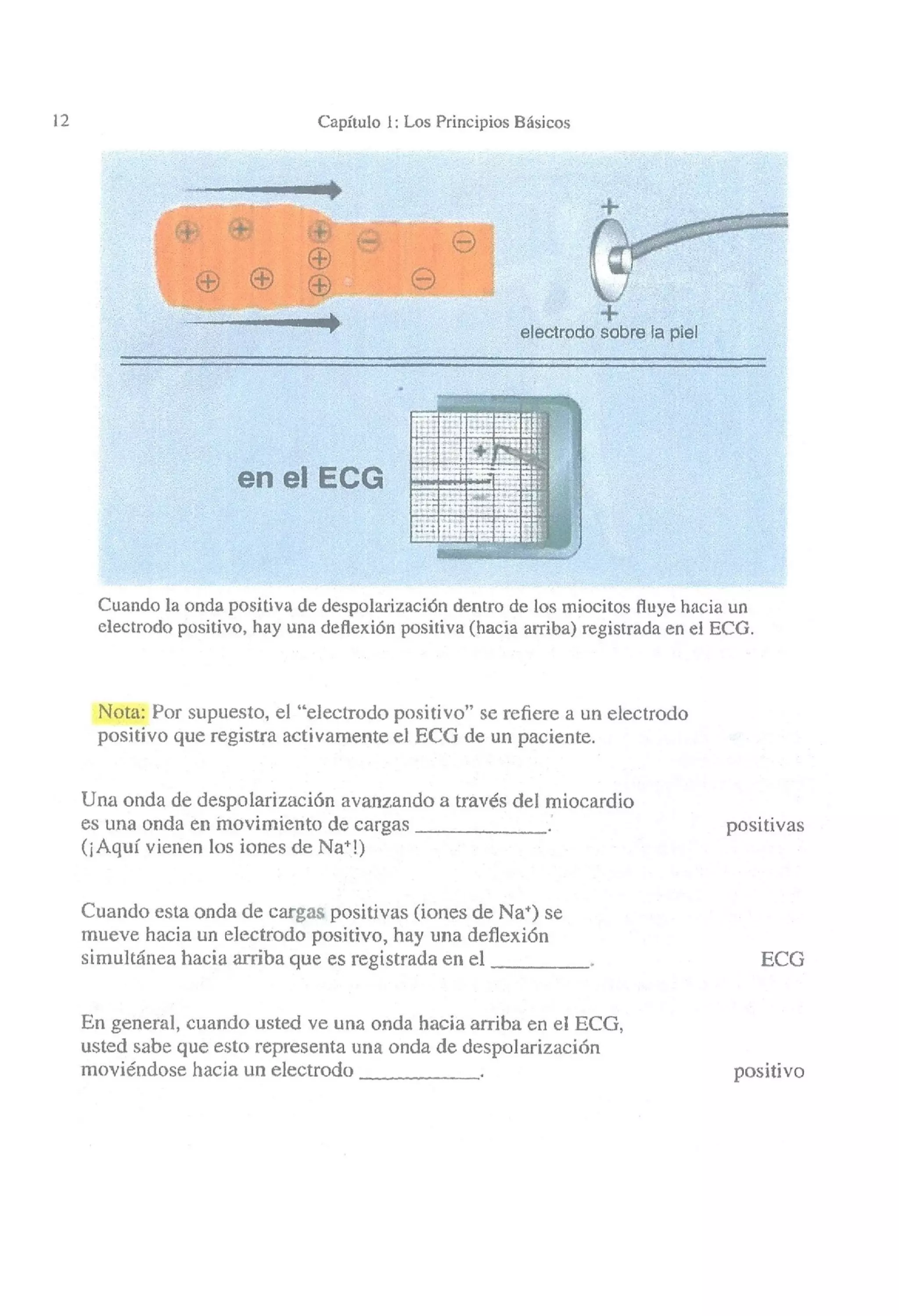 Dubin interpretacion de ECG (1°Edicion Color) | PDF