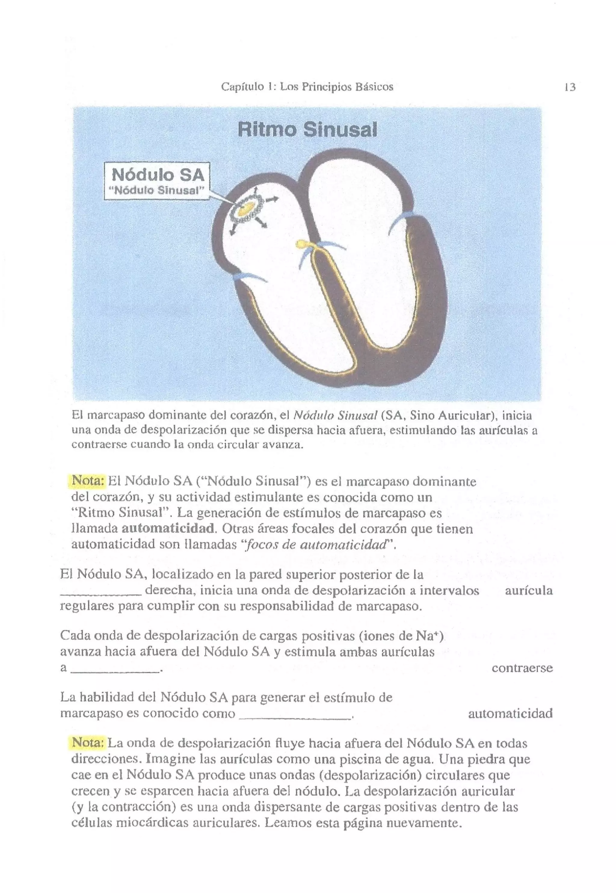 Dubin interpretacion de ECG (1°Edicion Color) | PDF