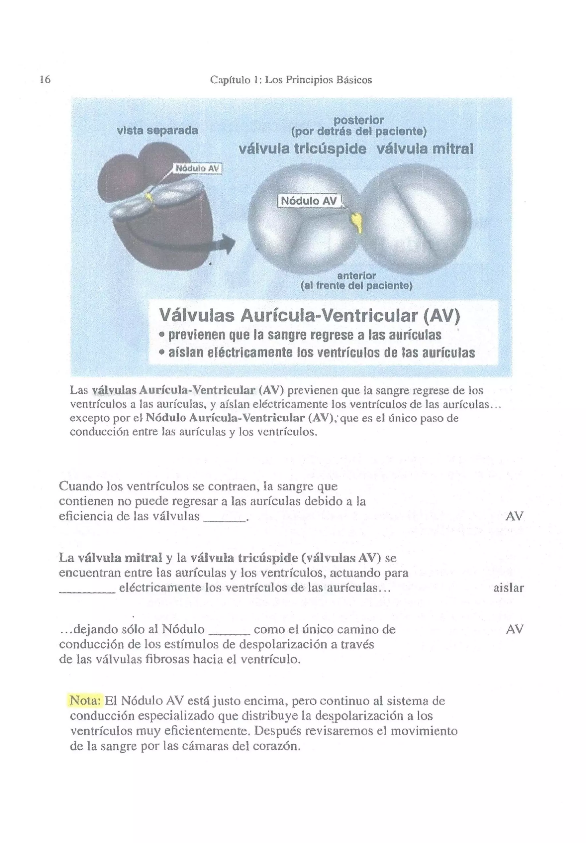 Dubin interpretacion de ECG (1°Edicion Color) | PDF