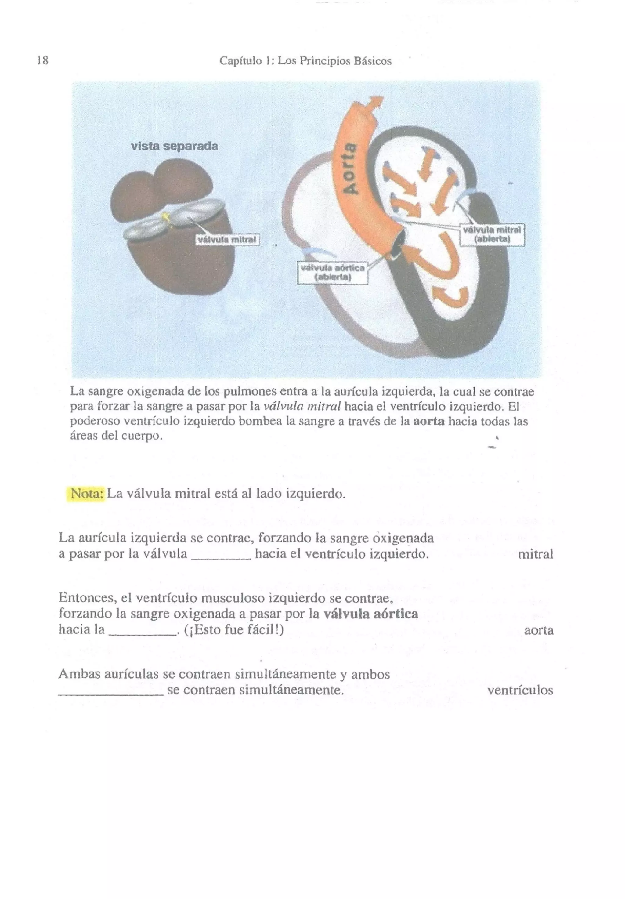 Dubin interpretacion de ECG (1°Edicion Color) | PDF