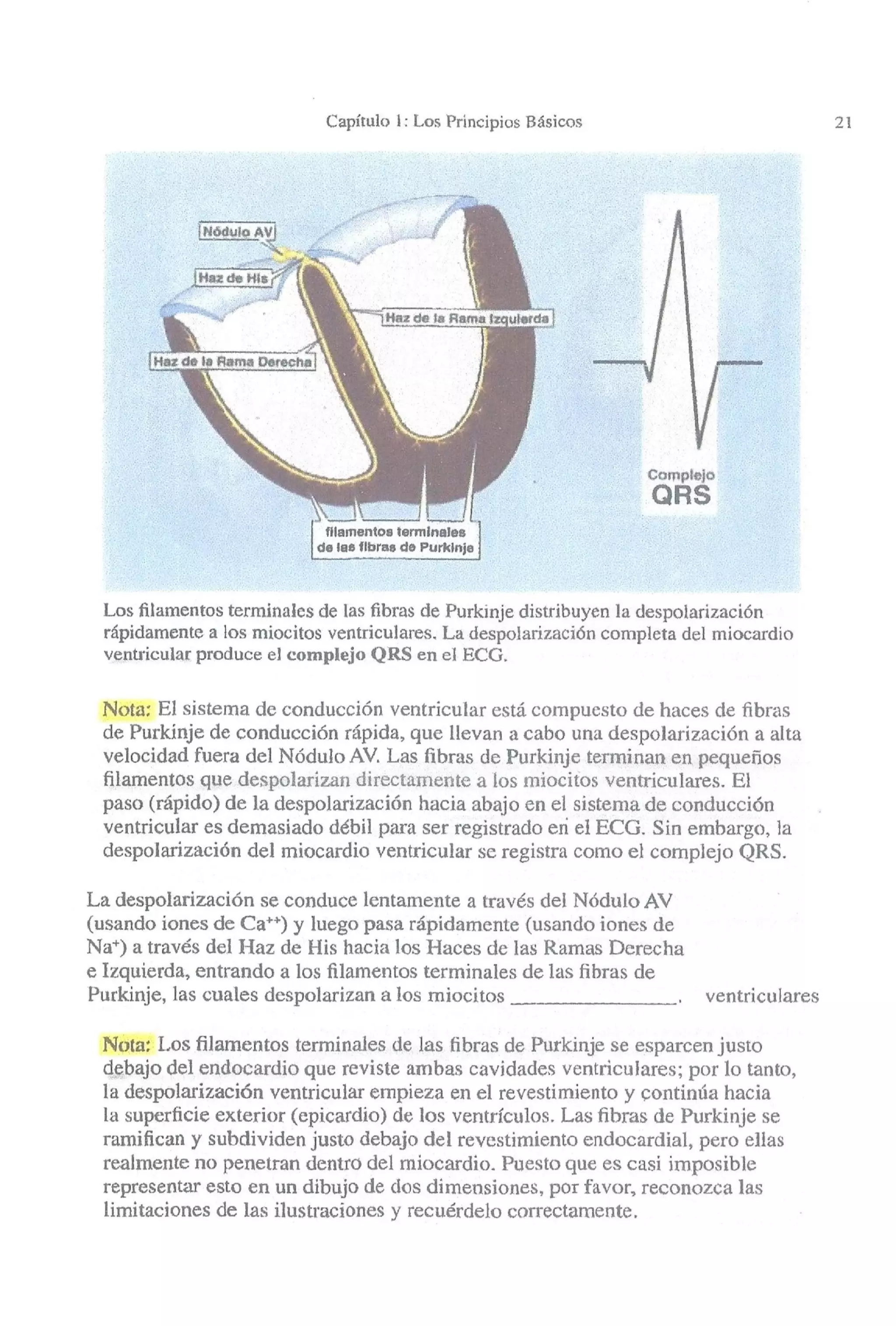 Dubin interpretacion de ECG (1°Edicion Color) | PDF