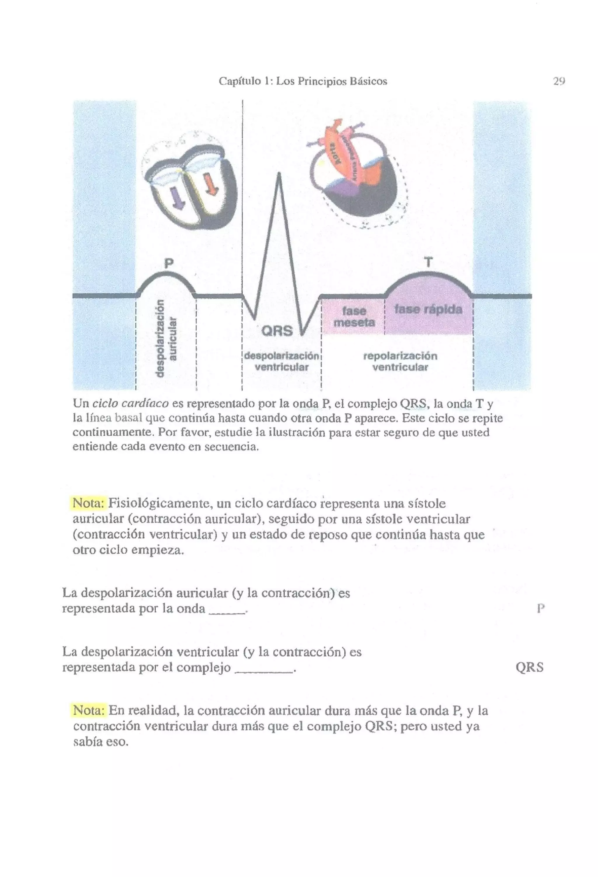 Dubin interpretacion de ECG (1°Edicion Color) | PDF