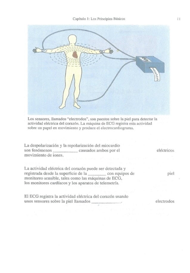 Dubin interpretacion de ECG (1°Edicion Color) | PDF