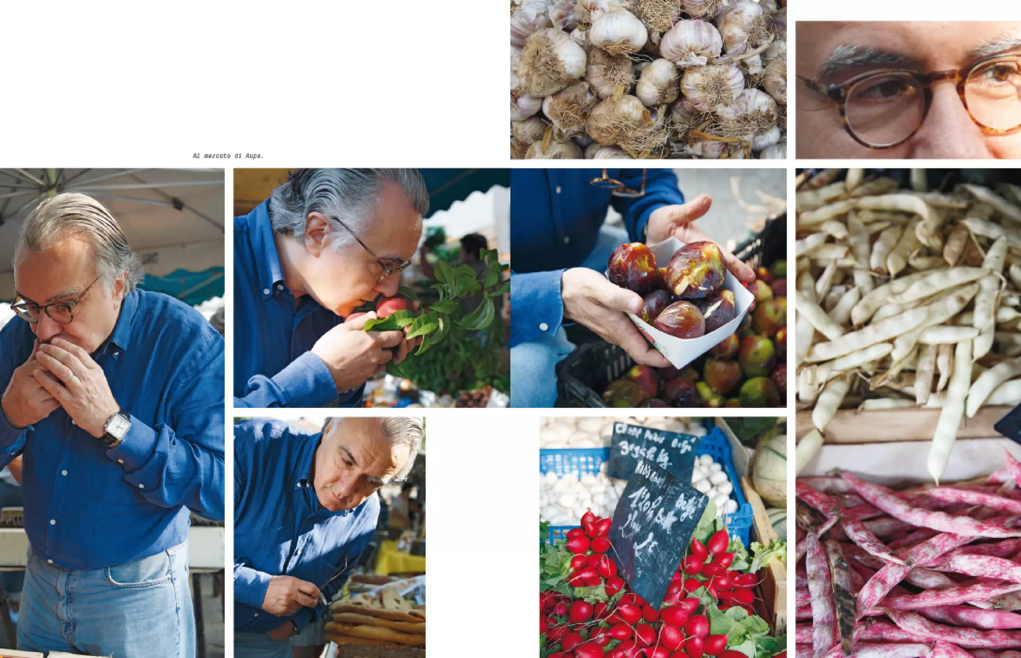 Ducasse nature | PDF