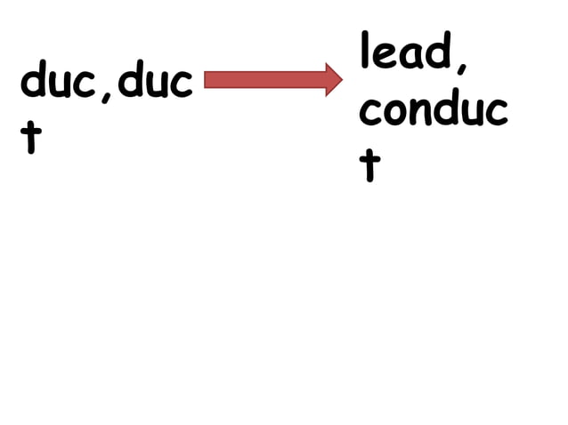 Duc, duct | PPT