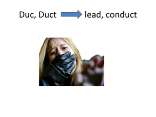 Duc, duct | PPTX