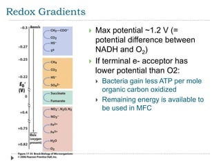Ducharme.Wignall.Intro to Microbial Fuel Cells.ppt