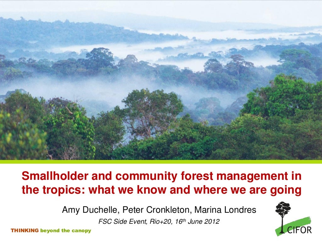 Smallholder and community forest management in the tropics: what we k…