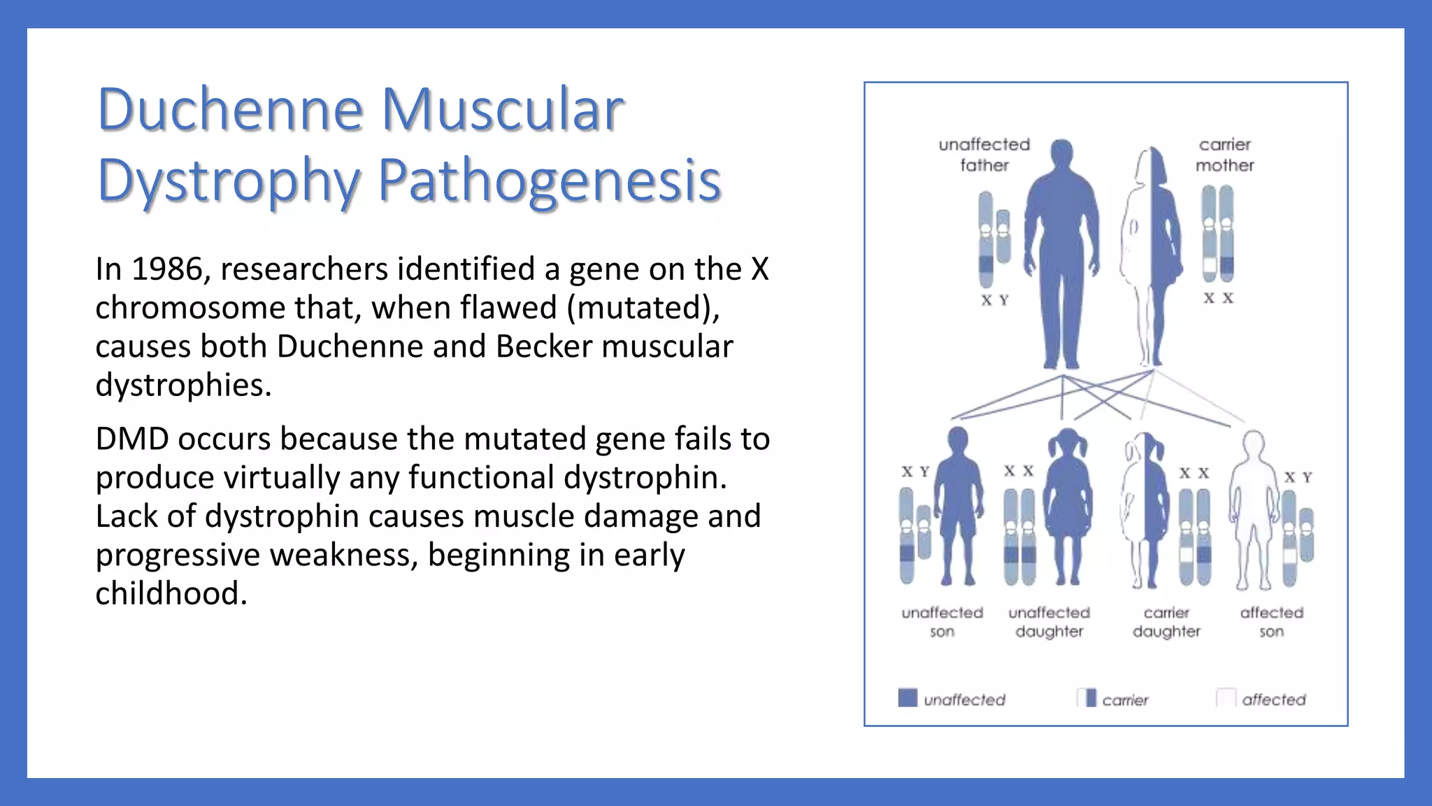 Duchenne Muscular Dystrophy | PPTX | Physical Therapy | Wellness