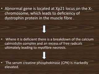 Duchenne muscular dystrophy | PPTX