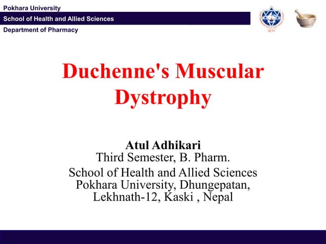 Duchenne's Muscular Dystrophy | PPTX | Bone and Joint Conditions ...