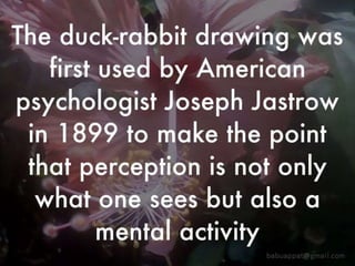 Duck or rabbit- A simple psychometric test | PPT