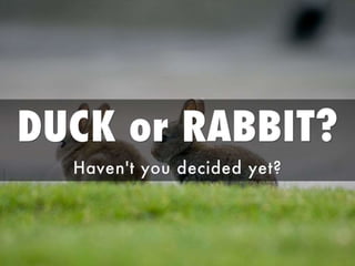 Duck or rabbit- A simple psychometric test | PPT