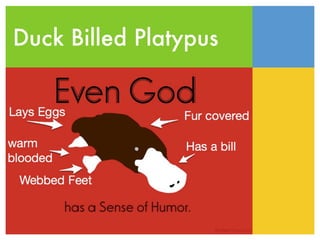 Duck Billed Platypus | PDF