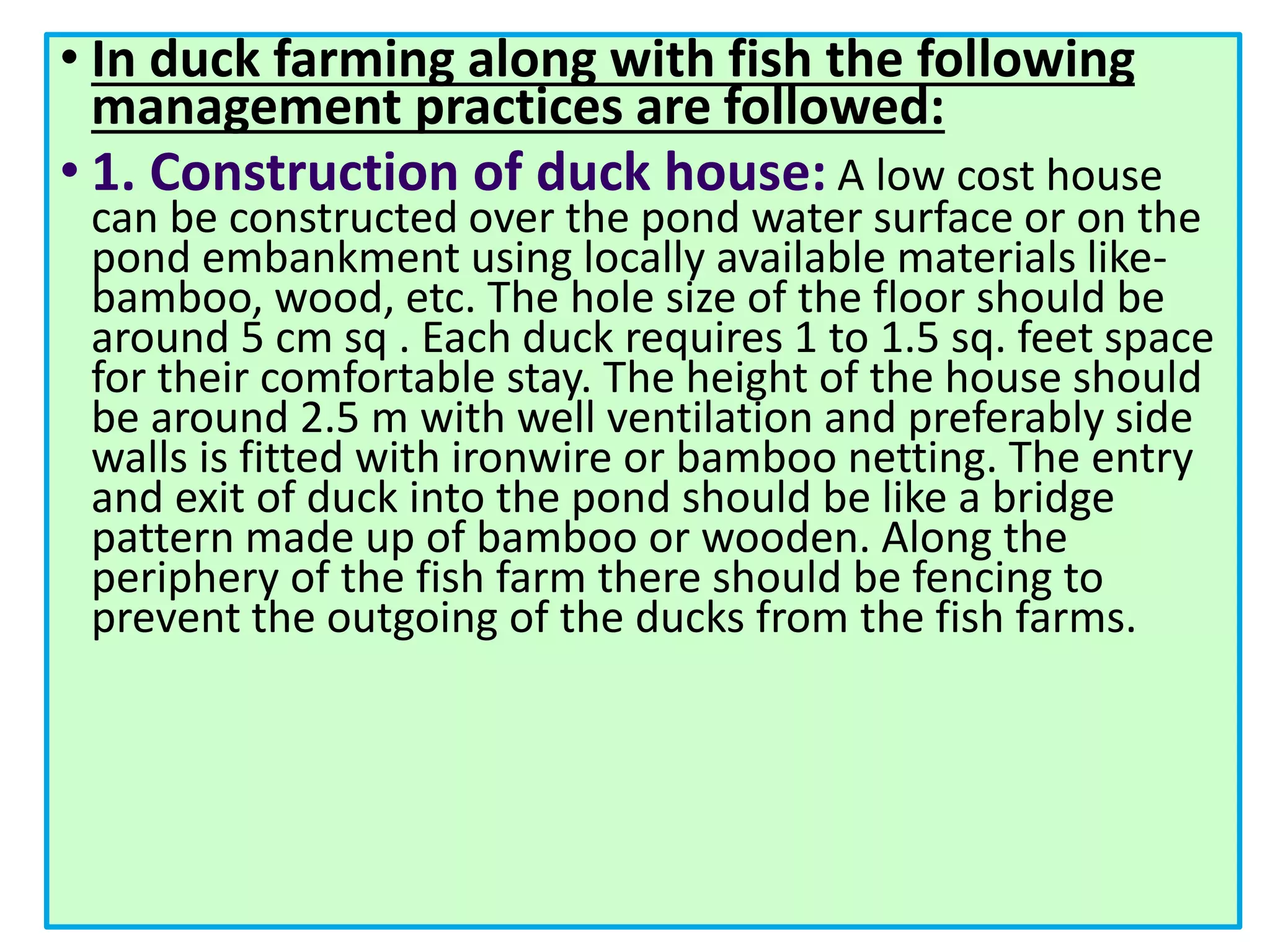 Duck cum fish farming .ppt presentation | PPTX