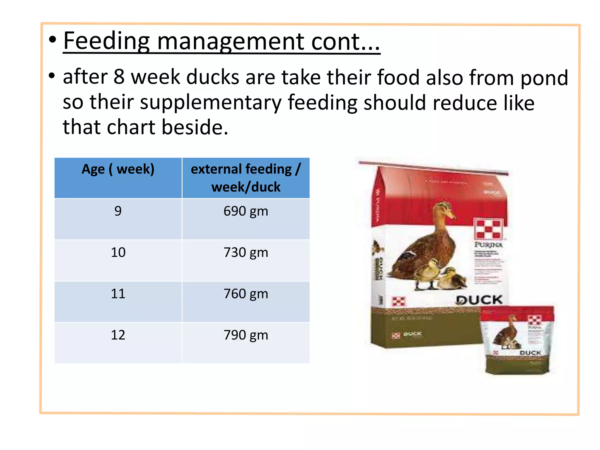 Duck cum fish farming .ppt presentation | PPTX