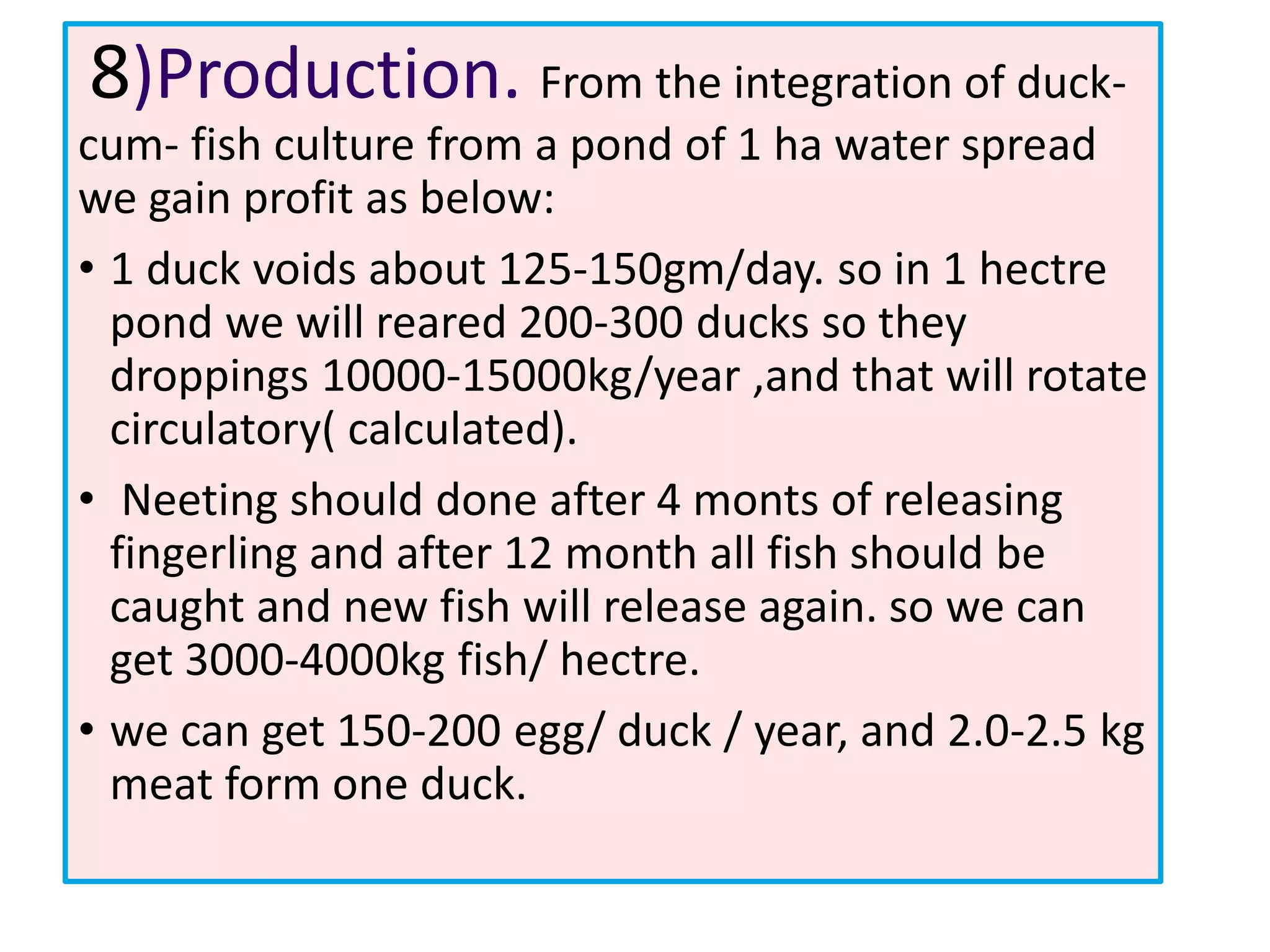 Duck cum fish farming .ppt presentation | PPTX