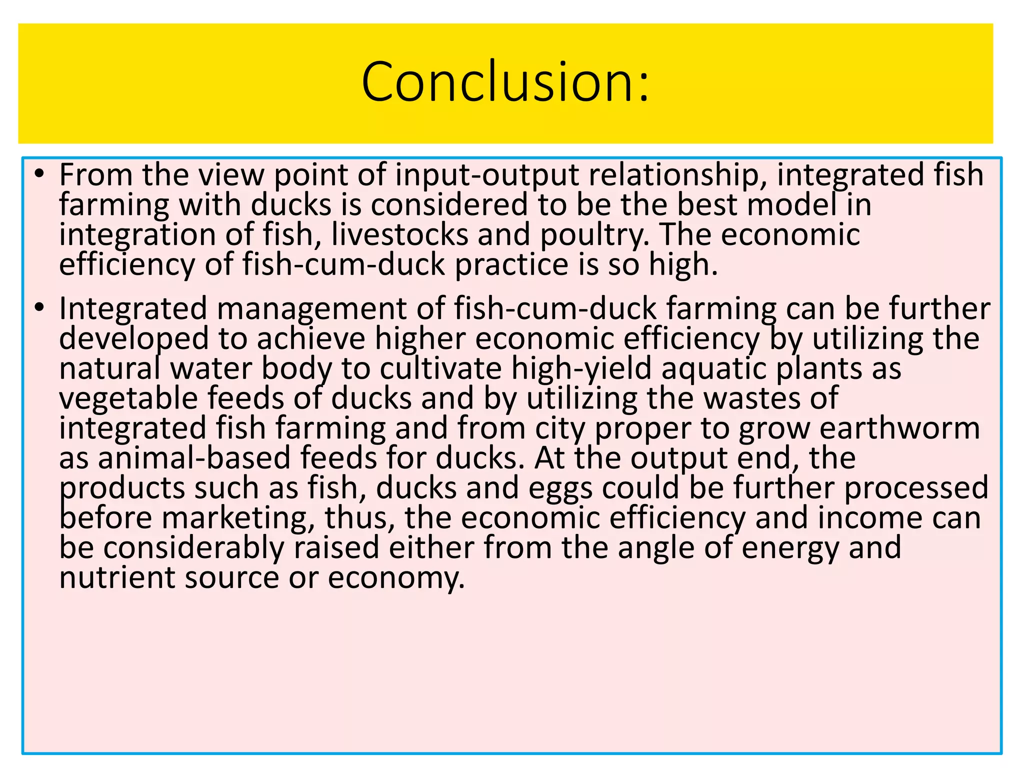 Duck cum fish farming .ppt presentation | PPTX